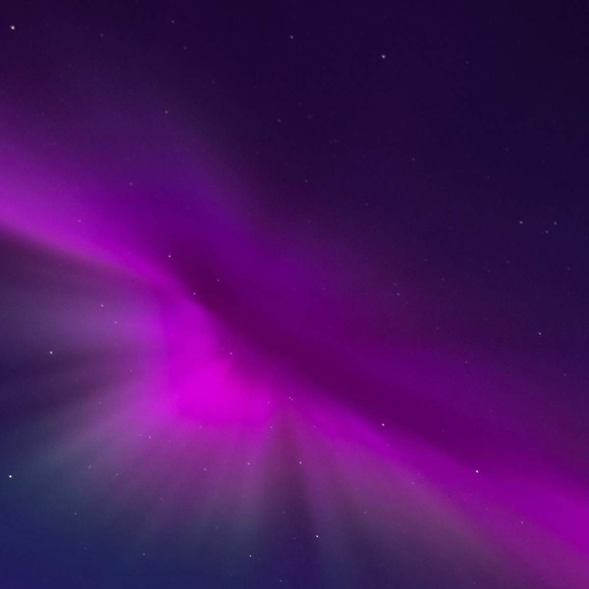 Launching Infinitus CMS Documentation